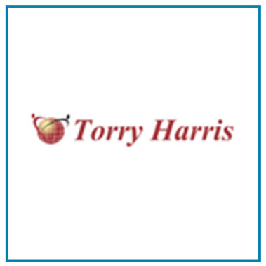 Pronteff IT Solutions | IBM Gold Business Partner | Fullstack Development