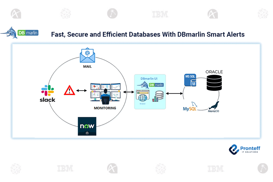 Pronteff IT Solutions | IBM Gold Business Partner | Fullstack Development